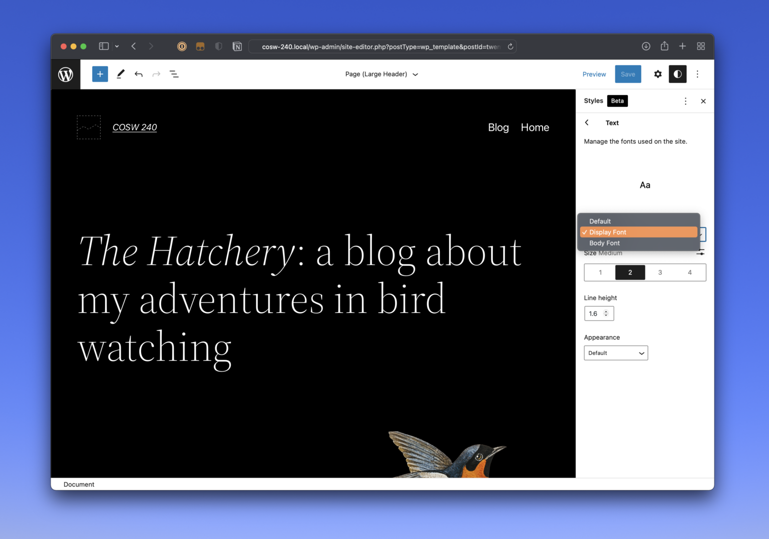 Adding Custom Fonts To The WordPress Site Editor UI Geoff Graham